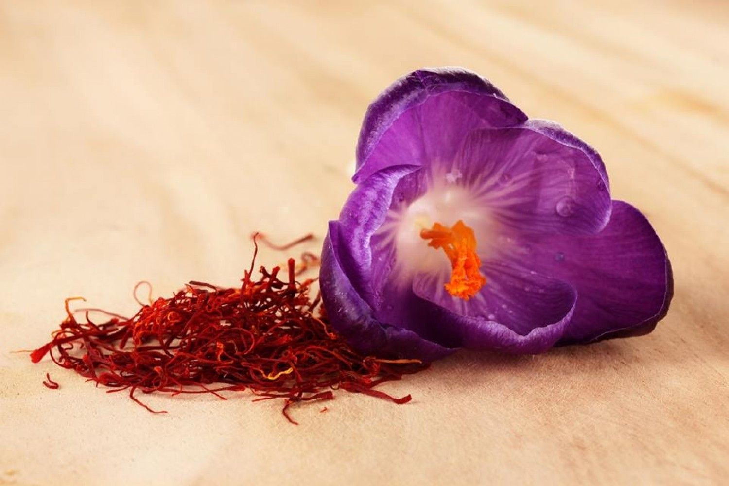 Azafrán, el ‘oro rojo’ de Menorca