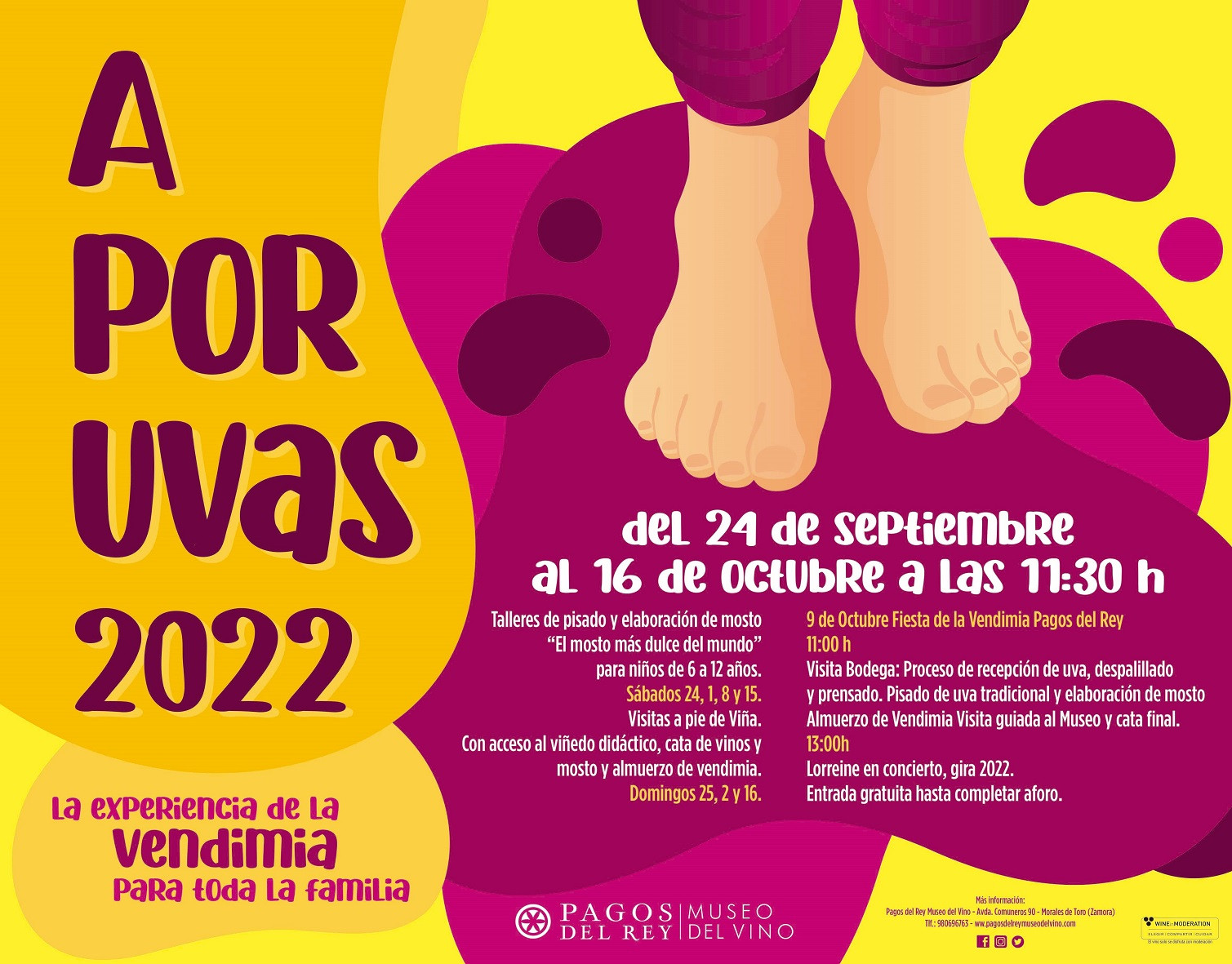“A por uvas 2022”, vuelve la programación de vendimia a Pagos del Rey ...