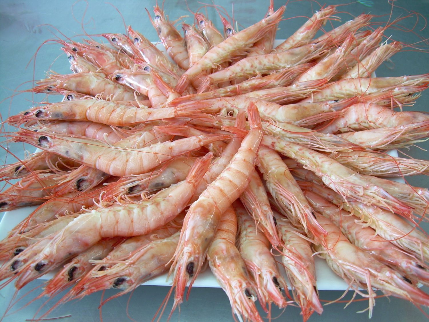 Las claves para elegir y disfrutar los mariscos en estas fiestas